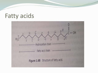 Lipids and fatty acids.pptx | Chemistry | Science