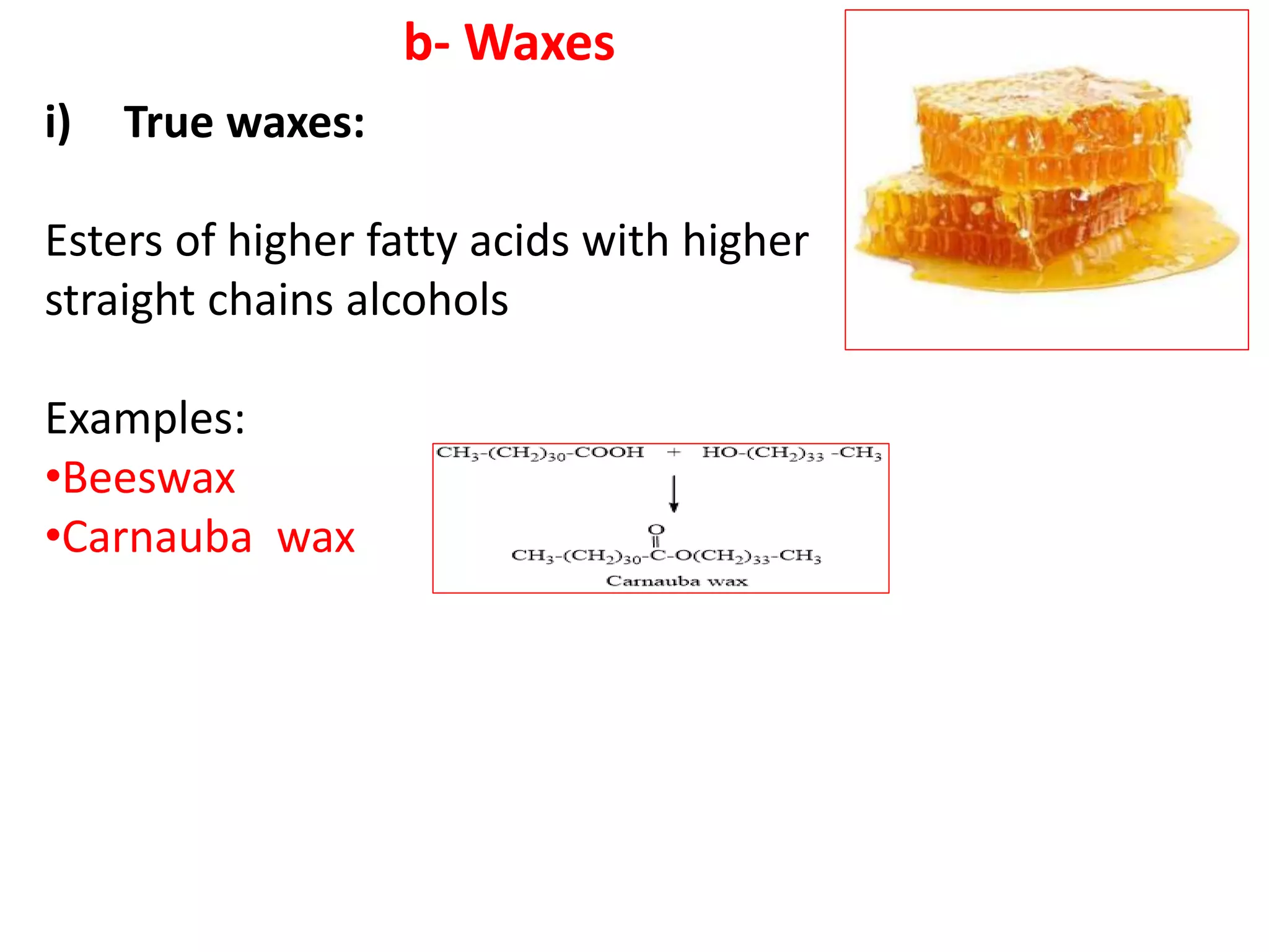 Lipids and its classification | PPTX