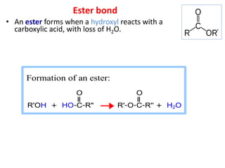 Lipids and its classification | PPTX
