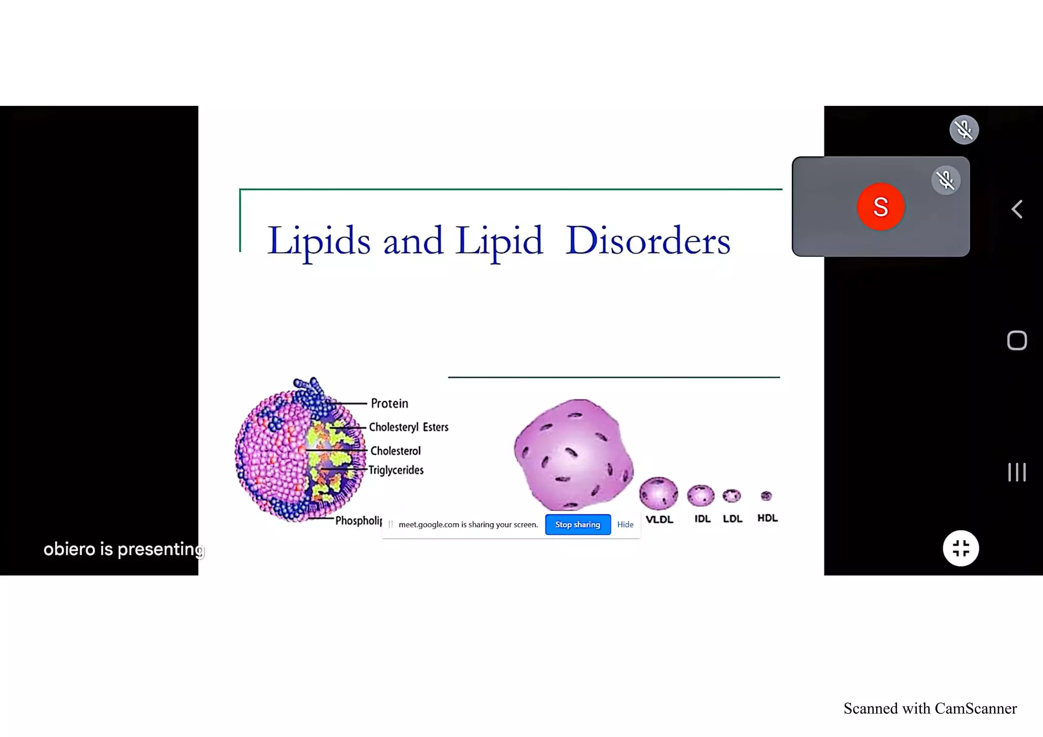 Lipids and Lipids disorders.pdf