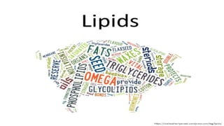 BIOMOLECULES LIPIDS & NUCLEIC ACID.pptx