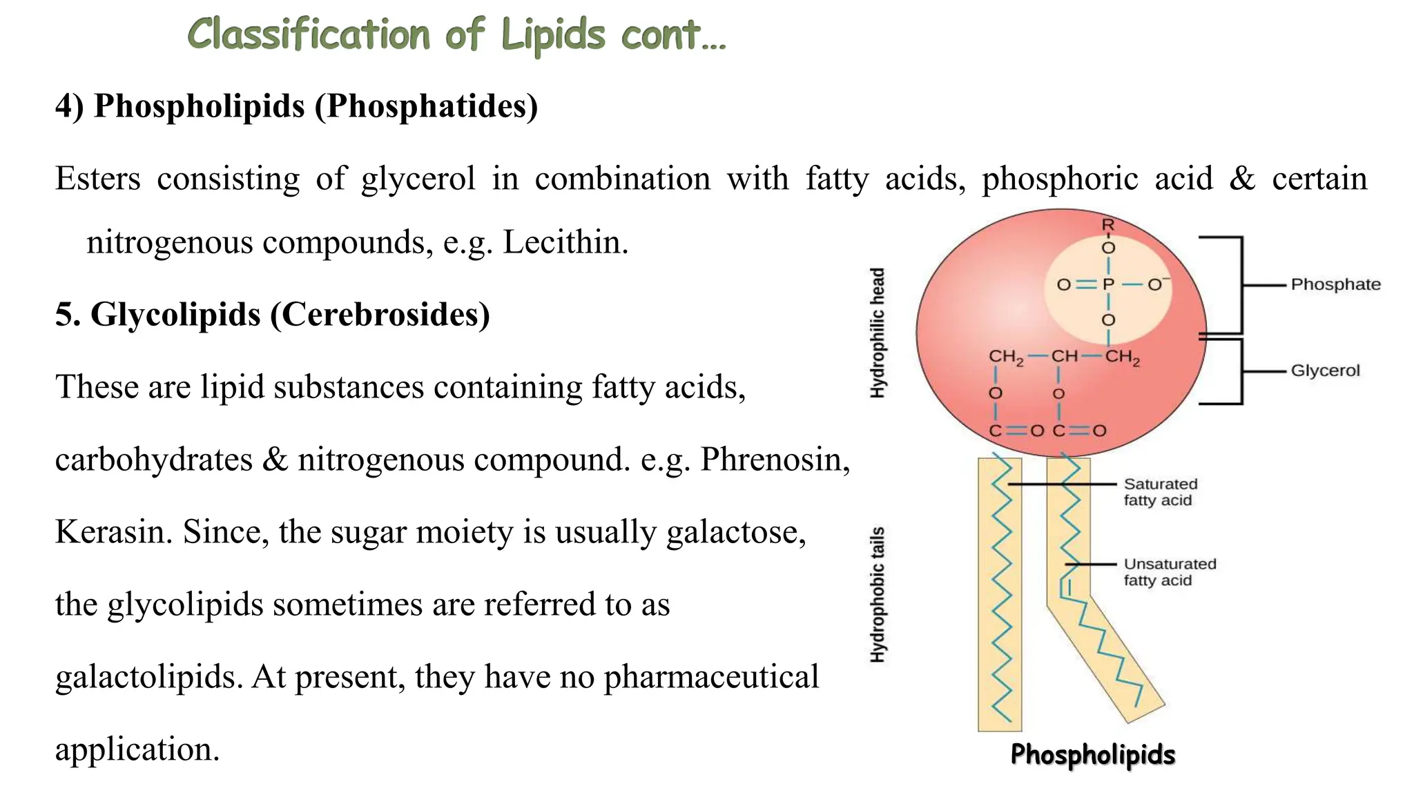 Chemistry and pharmaceutical uses of Lipids and Oils .pptx