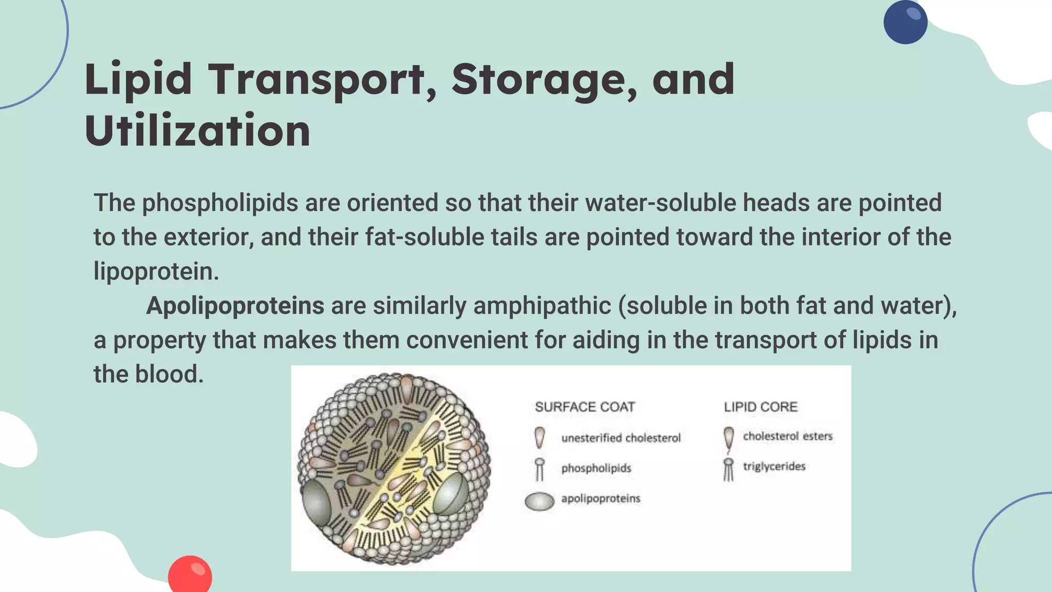 Lipids and Related Systems - GROUP 2.pptx