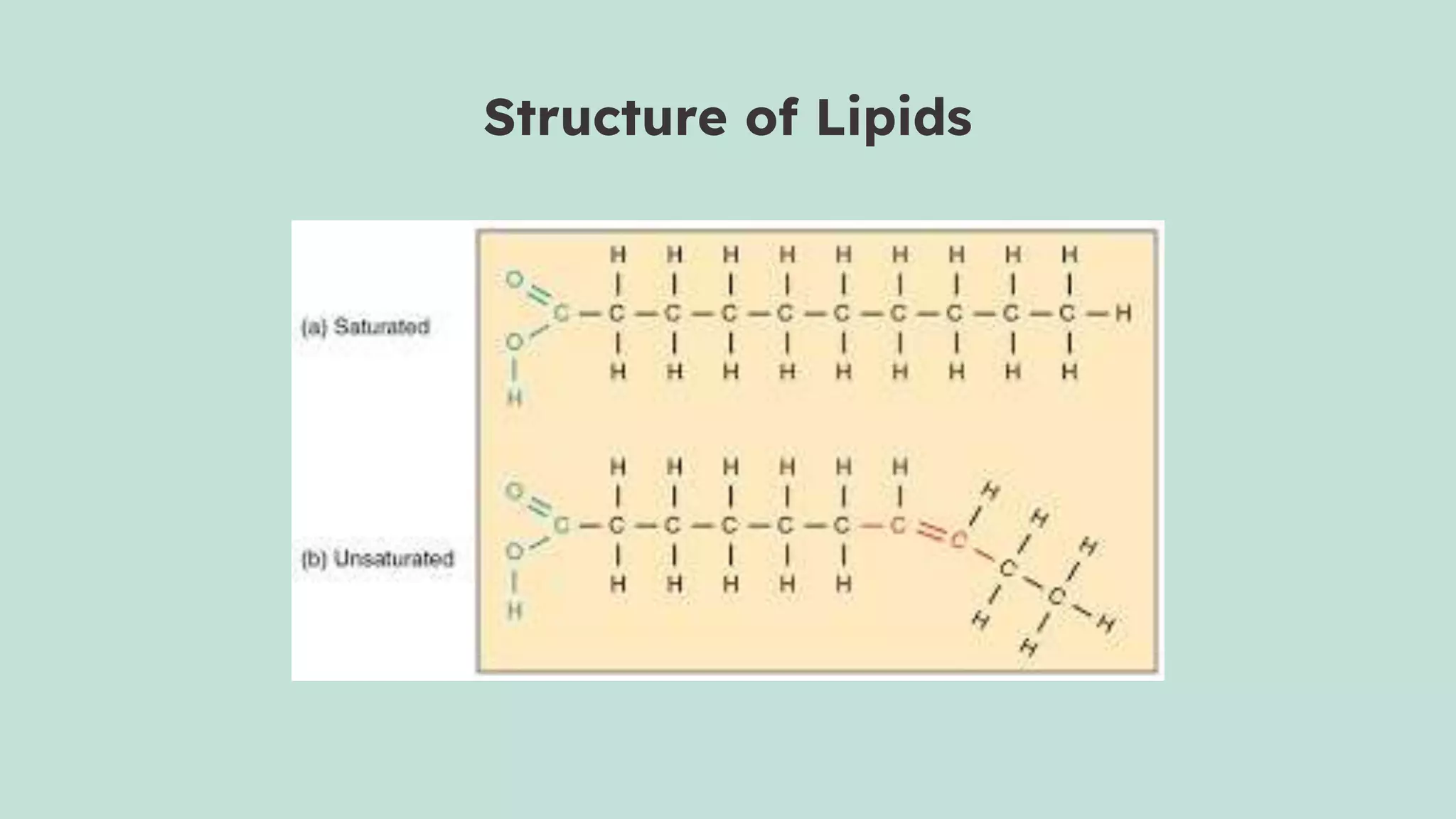 Lipids and Related Systems - GROUP 2.pptx