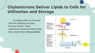 Lipids and Related Systems - GROUP 2.pptx
