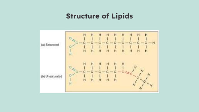 Lipids and Related Systems - GROUP 2.pptx | Chemistry | Science