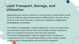 Lipids and Related Systems - GROUP 2.pptx