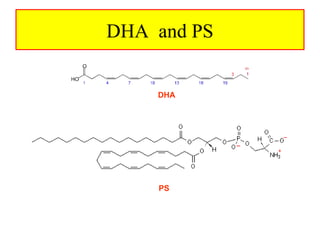 Lipids and the Immune System and puffsas | PPT