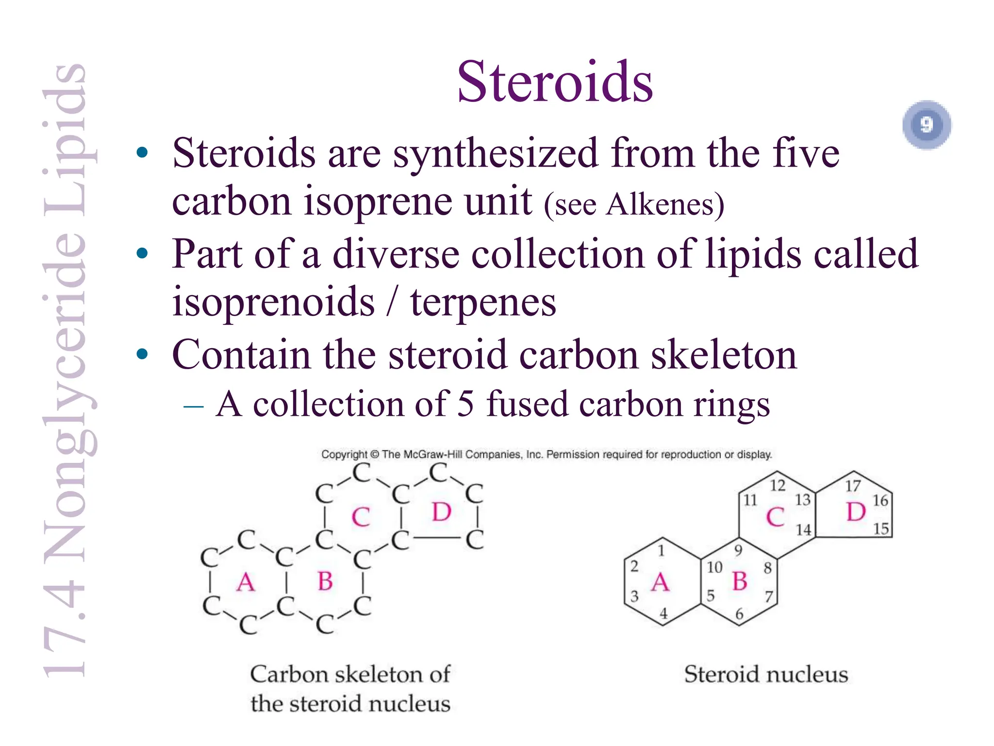 Lipids and Their Functions in Biochemical Systems.ppt
