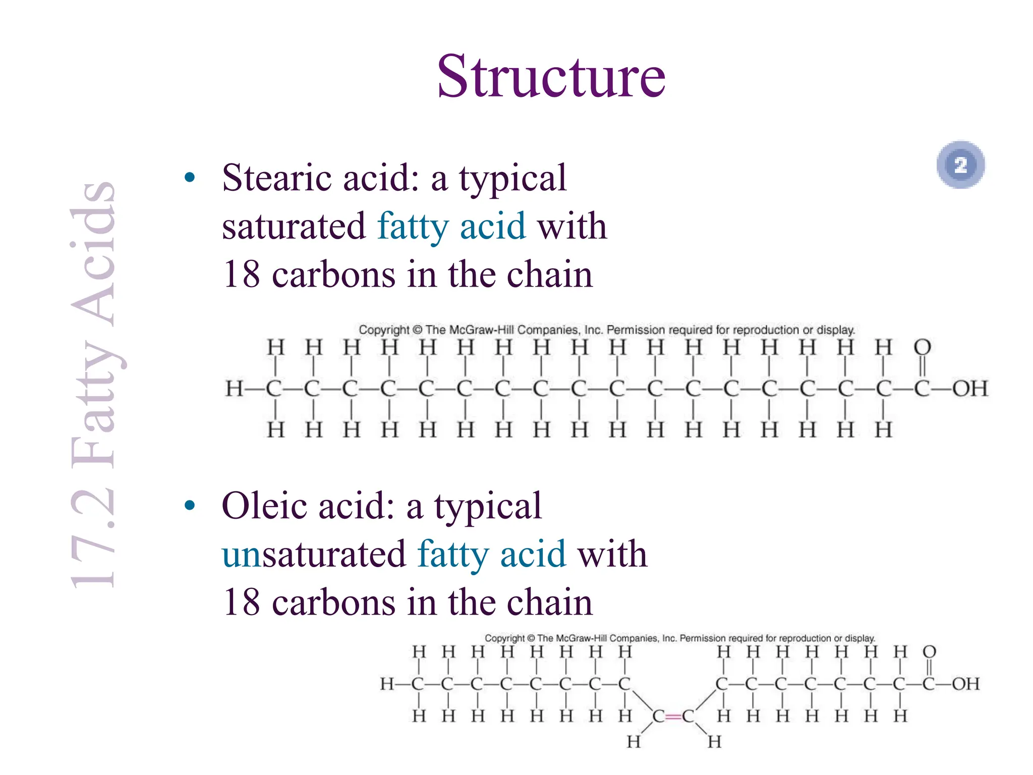 Lipids and Their Functions in Biochemical Systems.ppt