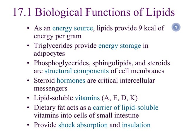 Lipids and Their Functions in Biochemical Systems.ppt