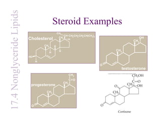 Lipids and Their Functions in Biochemical Systems.ppt