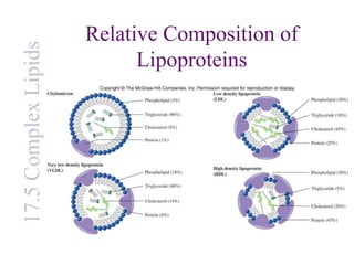 Lipids and Their Functions in Biochemical Systems.ppt