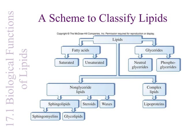 Lipids and Their Functions in Biochemical Systems.ppt