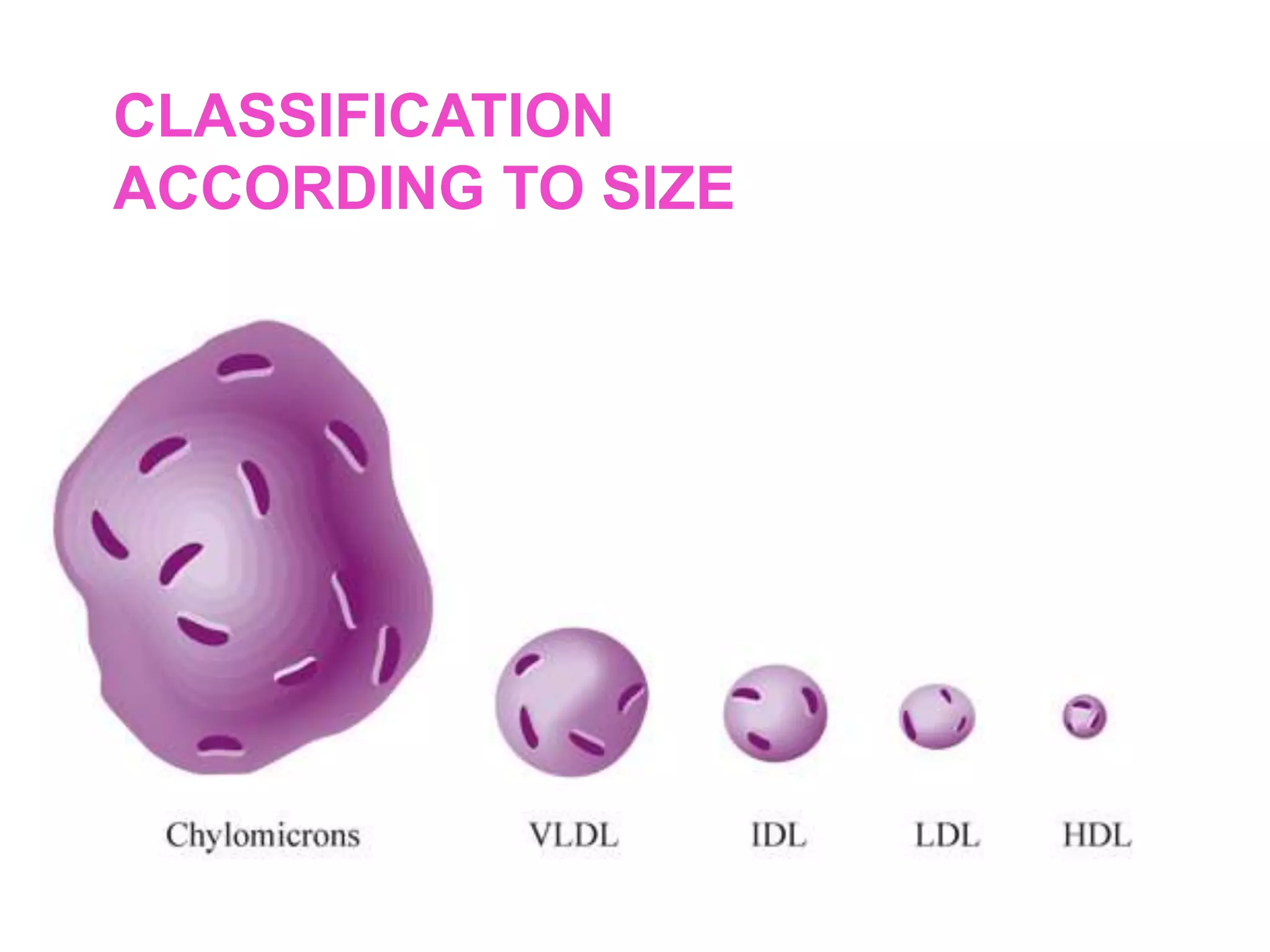 Lipids and their metabolism for nurses | PPTX