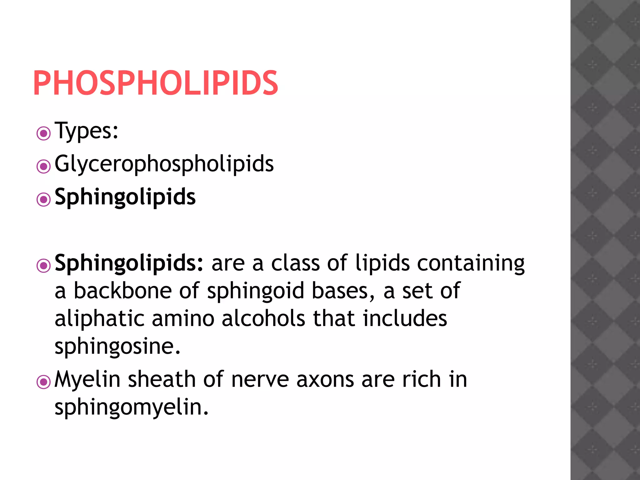 Lipids and their metabolism for nurses | PPTX