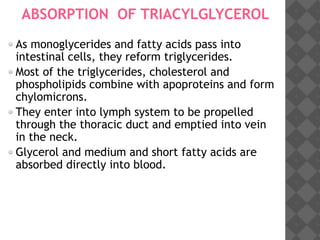Lipids and their metabolism for nurses | PPTX
