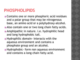 Lipids and their metabolism for nurses | PPTX
