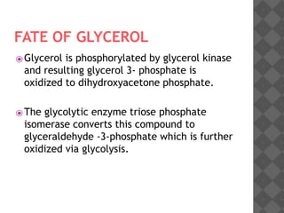 Lipids and their metabolism for nurses | PPTX