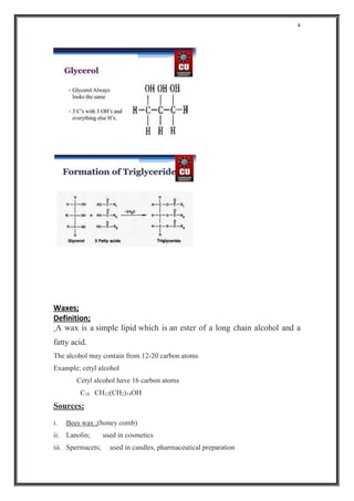 LIPIDS | DOCX
