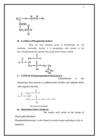 LIPIDS | DOCX | Chemistry | Science