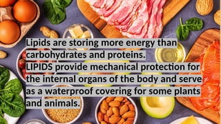 LIPIDS POWERPOINT PRESENTATION FOR GRADE 10 SIENCE | PPTX