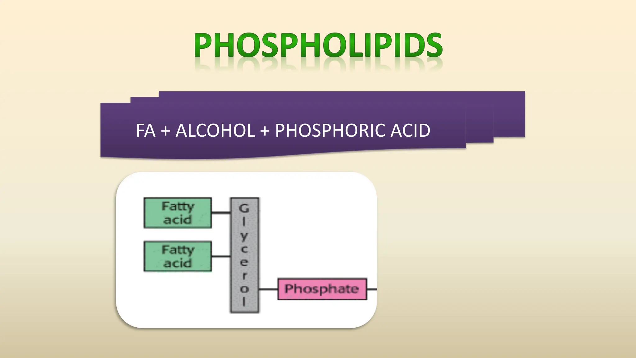 lipids biochemistry , types of lipids .pdf