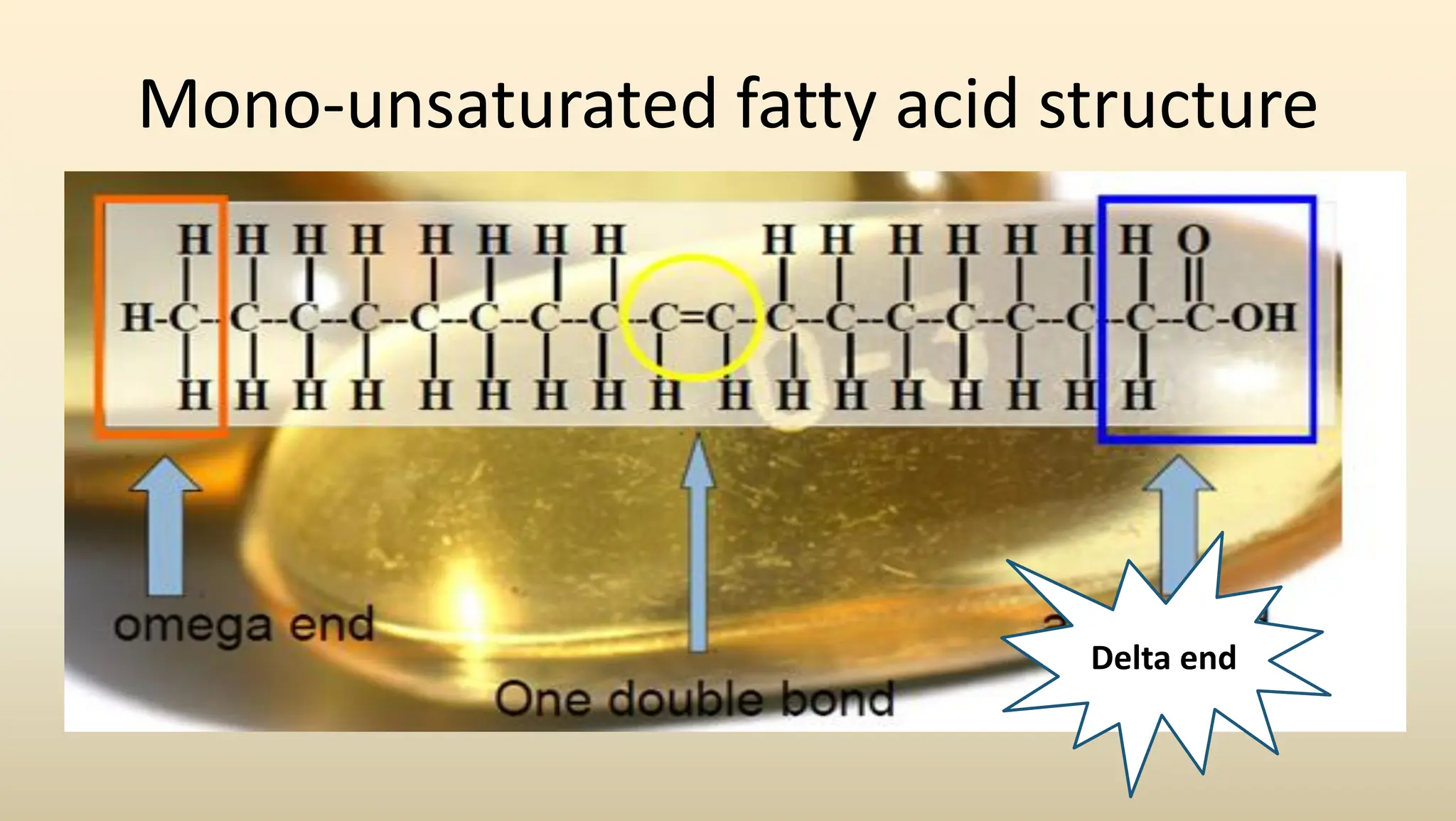 lipids biochemistry , types of lipids .pdf