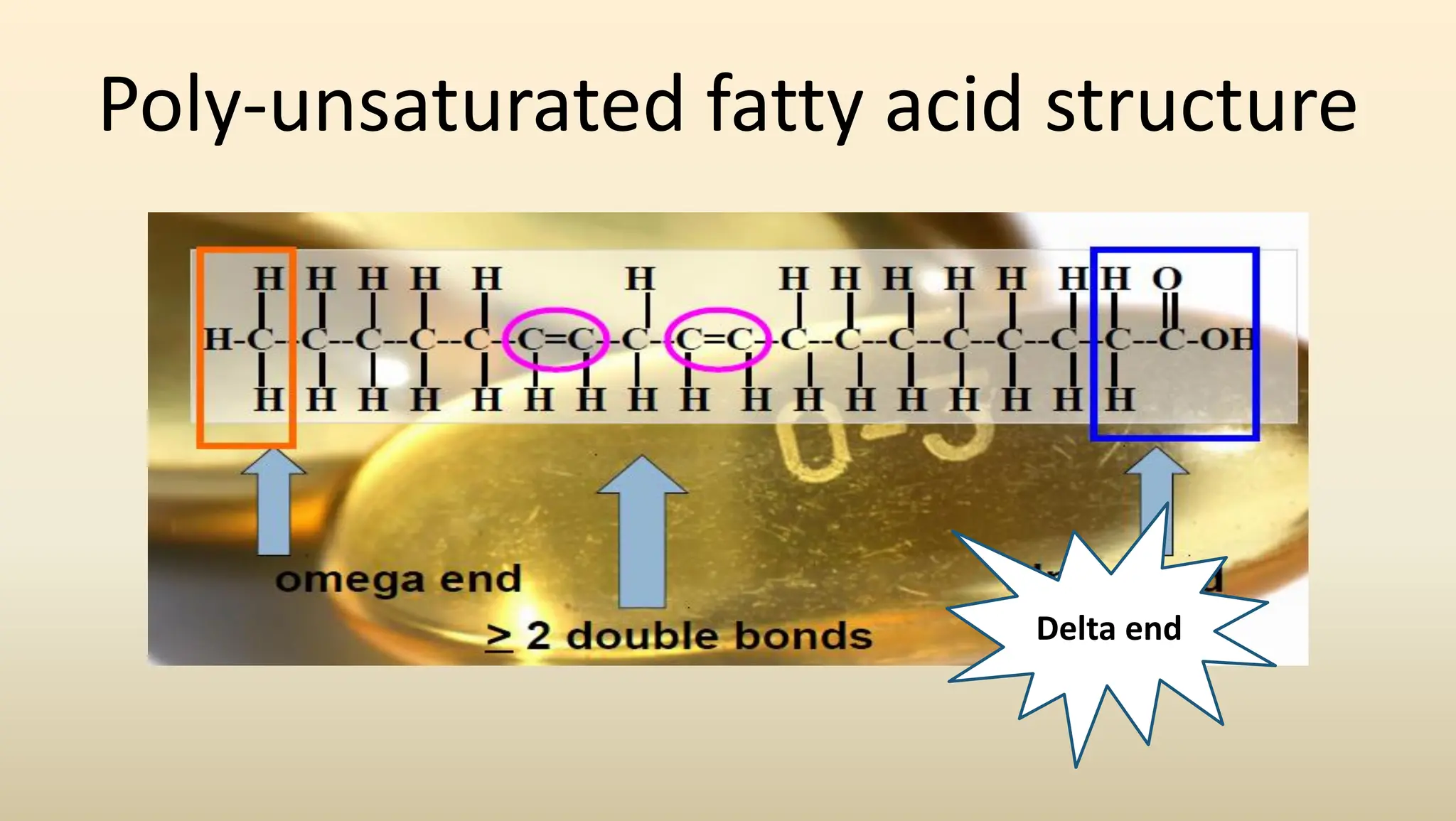 lipids biochemistry , types of lipids .pdf