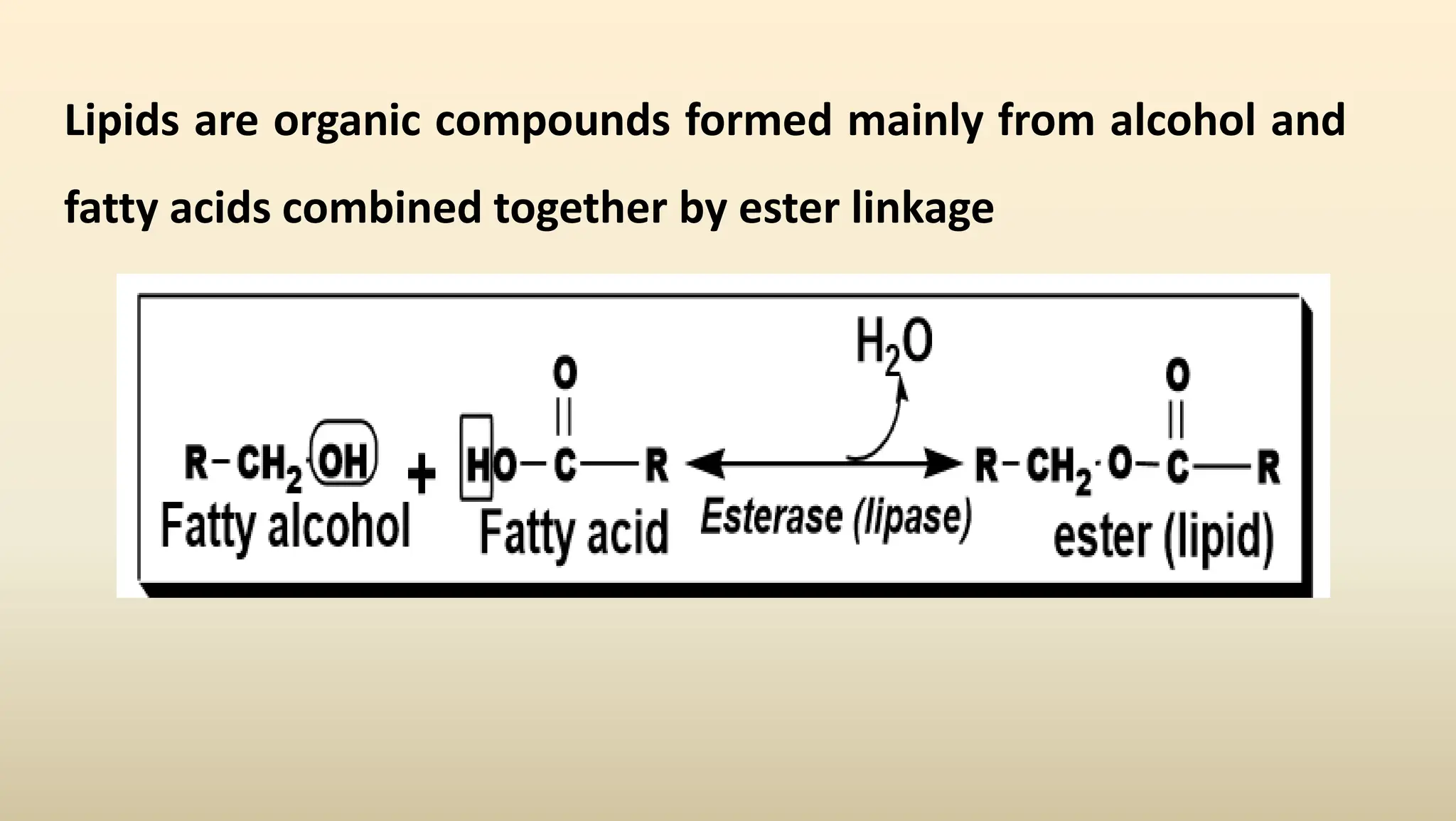 lipids biochemistry , types of lipids .pdf