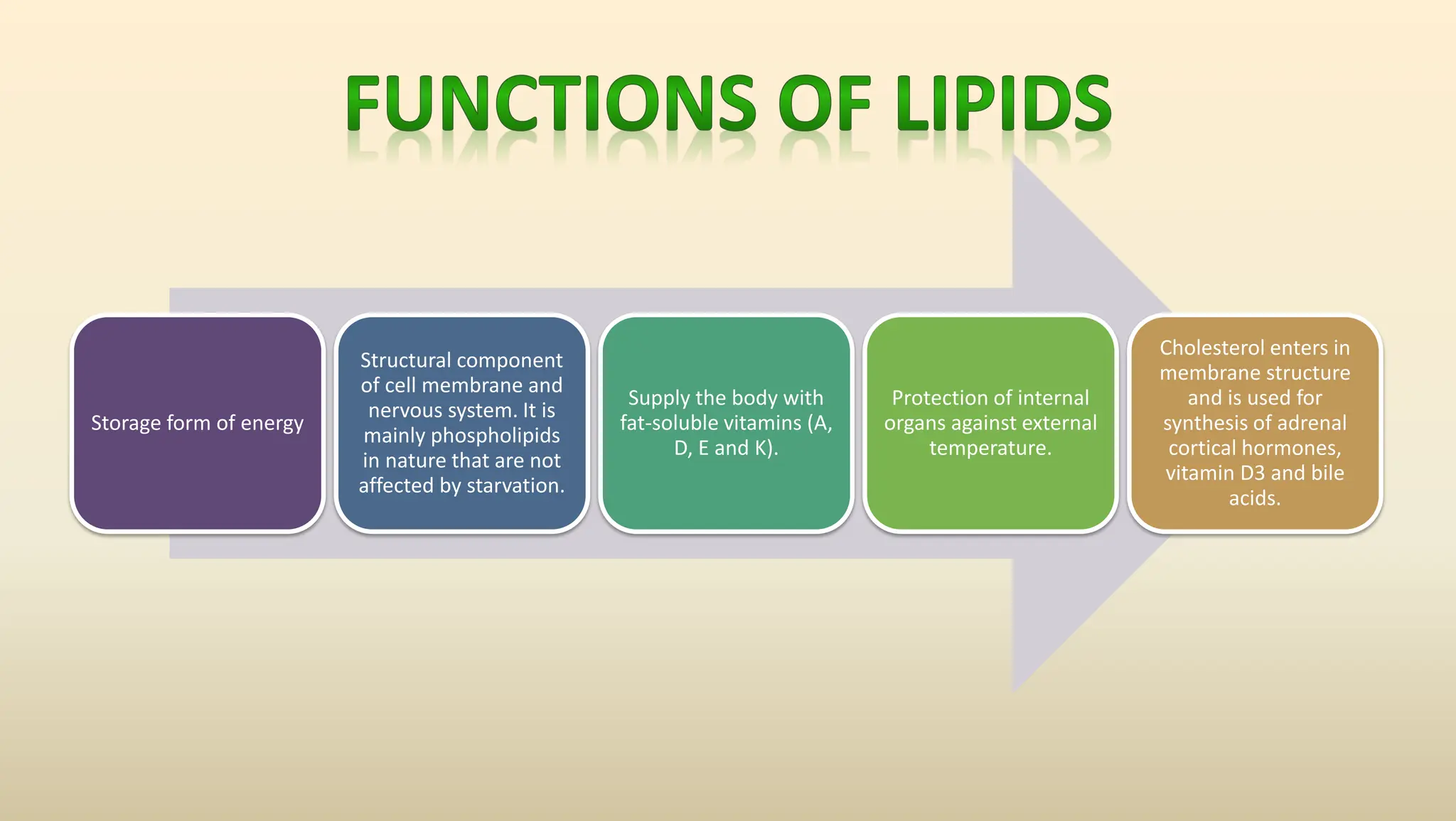 lipids biochemistry , types of lipids .pdf