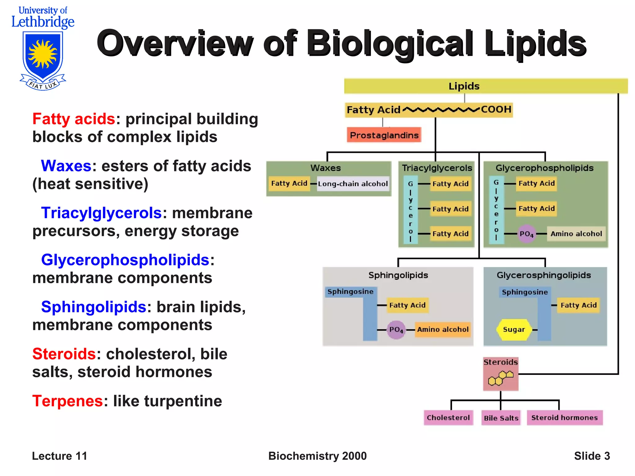 Lipids by Bchm2022.pdf