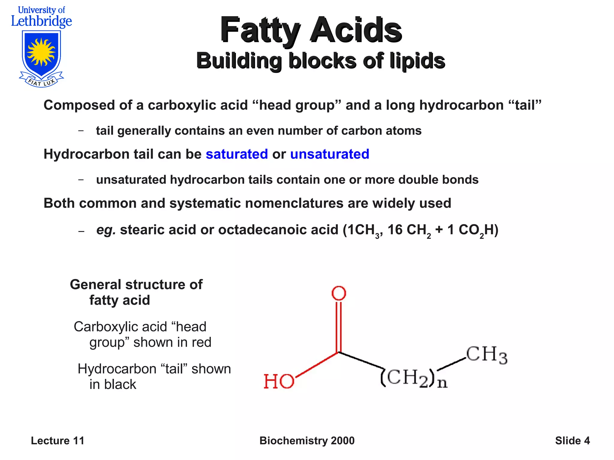 Lipids by Bchm2022.pdf