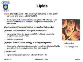 Lipids by Bchm2022.pdf