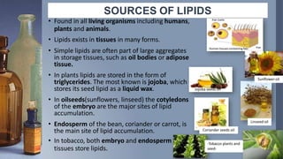 lipidsbykkkkkkkkksagar-210928141113.pptx