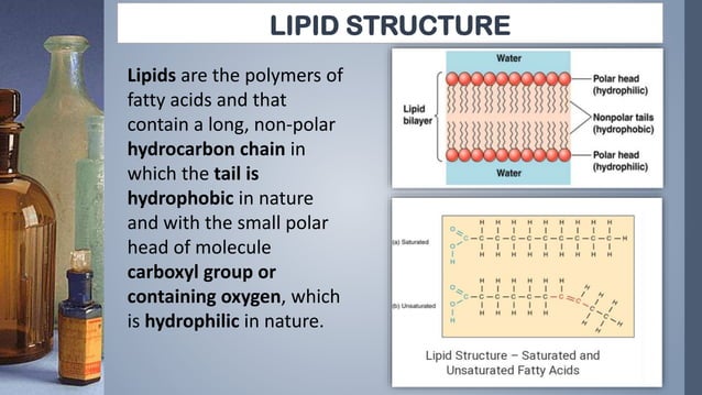 LIPIDS ( FATS, OILS & WAXES) | PDF
