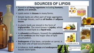 LIPIDS ( FATS, OILS & WAXES) | PDF