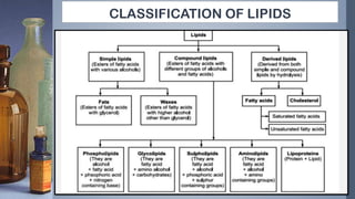 LIPIDS ( FATS, OILS & WAXES) | PDF