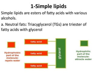 Lipids Chemistry-biochemistry of lipid.pptx