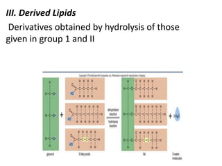 Lipids Chemistry-biochemistry of lipid.pptx
