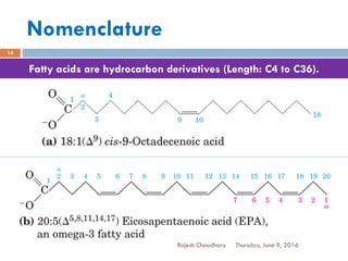 Lipids chemistry | PDF