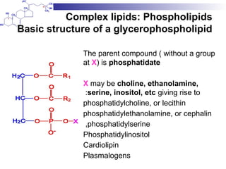 a presentation on lipid chemistery .pptx