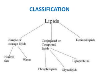 Lipids Chemistry.biovmchemistry slideshare.ootx
