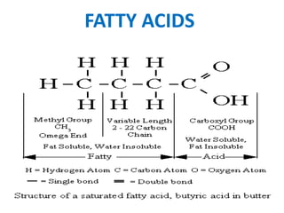 Lipids Chemistry.biovmchemistry slideshare.ootx