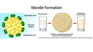 Lipids Dig. Abs..pptx