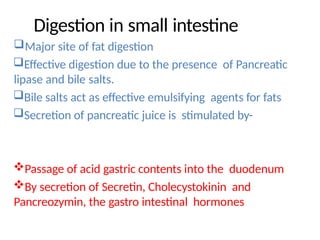 Lipids Digestion and absorption lecture.pptx