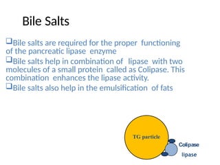 Lipids Digestion and absorption lecture.pptx