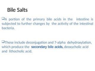 Lipids Digestion and absorption lecture.pptx