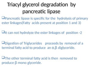 Lipids Digestion and absorption lecture.pptx