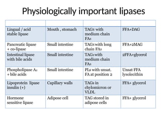 Lipids Digestion and absorption lecture.pptx
